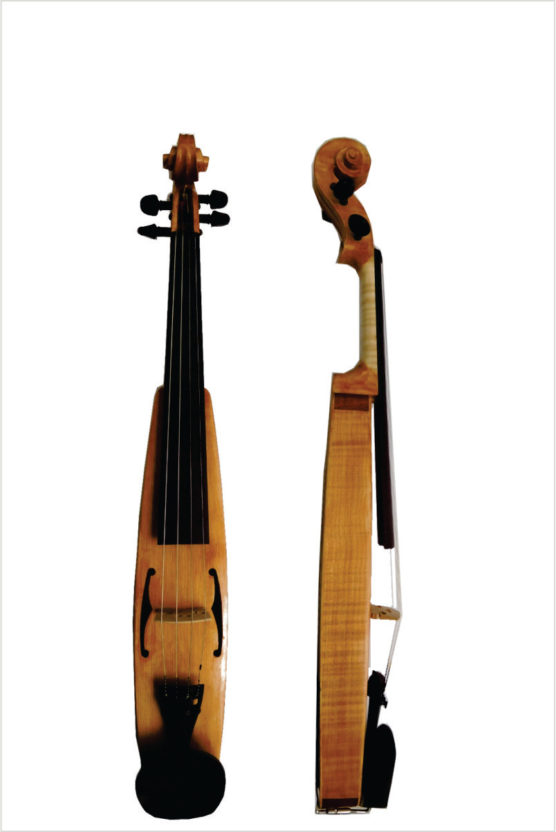 Brief Descriptions for Various Alternative Violin Family Instruments – D Rickert Musical Instruments