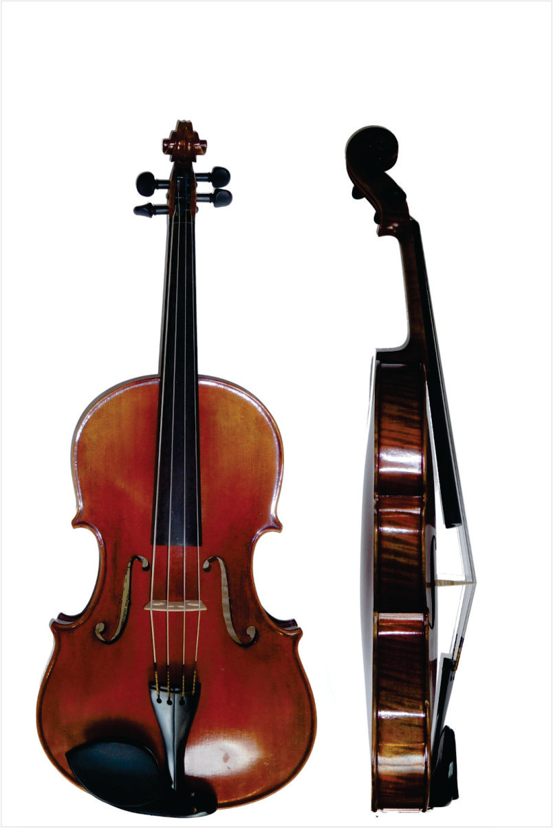 D Rickert Musical Instruments – Bespoke bowed and plucked string ...
