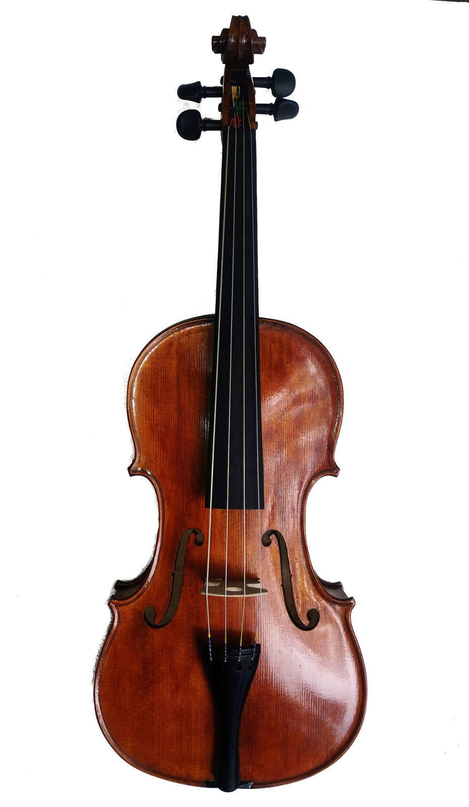 Two New Octave Violins and a 5-String Violin Under Construction – Ready ...