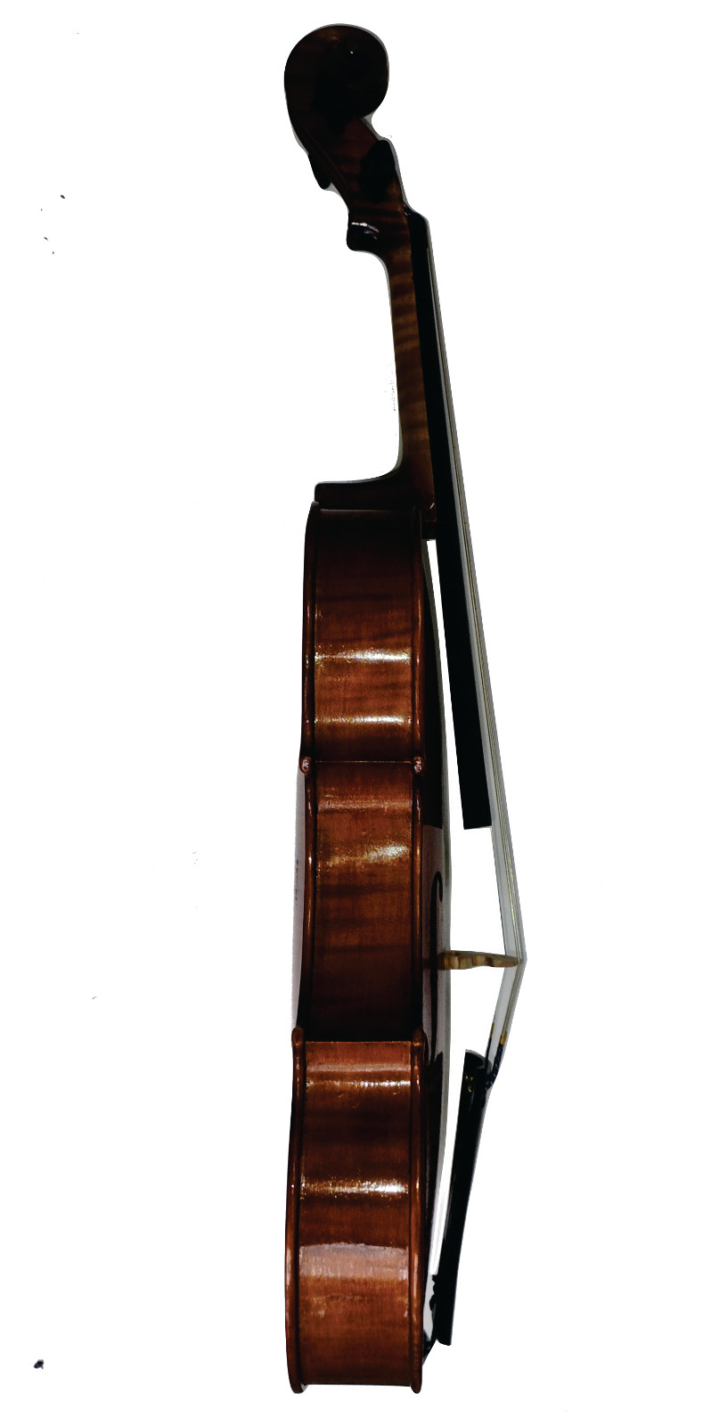 Two New Octave Violins and a 5-String Violin Under Construction – Ready ...